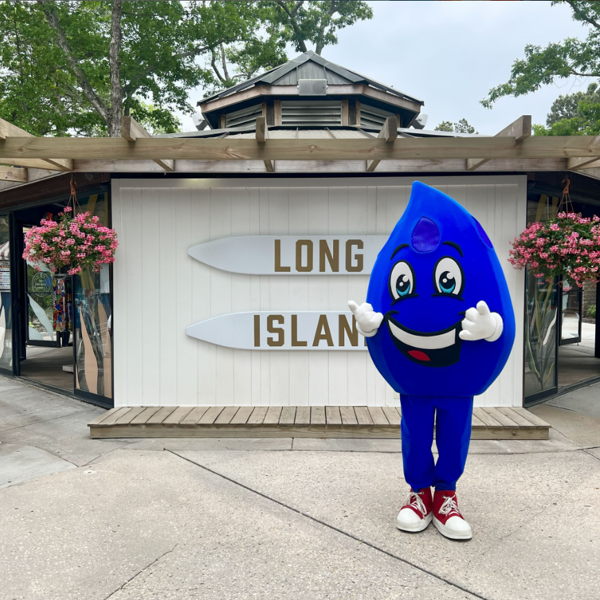 Splish Splash | Island Federal Credit Union